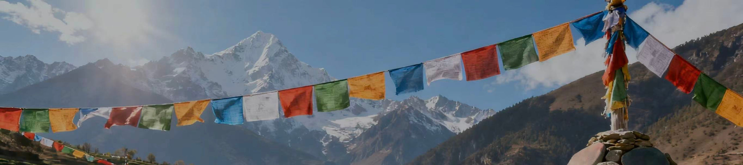 Loose Leaf Tea Collection – Himalayan Holy Tea